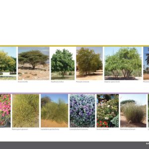 WAHO Landscape Architects « Landezine International Landscape Award LILA
