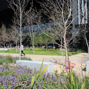 The Towers at Merriman Square « Landezine International Landscape Award ...