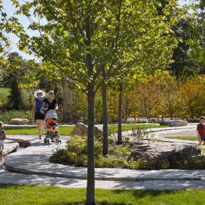 Regenstein Learning Campus « Landezine International Landscape Award LILA