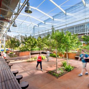 Tonsley Innovation District « Landezine International Landscape Award LILA