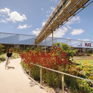 Tonsley Innovation District « Landezine International Landscape Award LILA