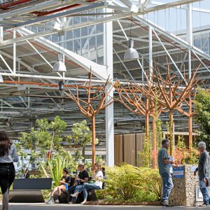 Tonsley Innovation District « Landezine International Landscape Award LILA