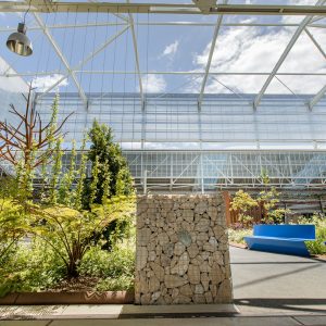 Tonsley Innovation District « Landezine International Landscape Award LILA