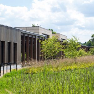 New Bushey Cemetery « Landezine International Landscape Award LILA