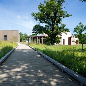 New Bushey Cemetery « Landezine International Landscape Award LILA