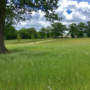 New Bushey Cemetery « Landezine International Landscape Award LILA