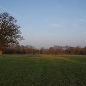 New Bushey Cemetery « Landezine International Landscape Award LILA