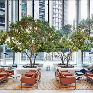 Barangaroo South Public Domain « Landezine International Landscape ...