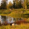 Blakeburn Lagoons Park « Landezine International Landscape Award LILA