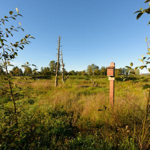 Blakeburn Lagoons Park « Landezine International Landscape Award LILA