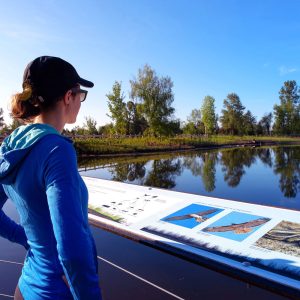 Blakeburn Lagoons Park « Landezine International Landscape Award LILA