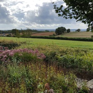 House on the edge of the woods « Landezine International Landscape ...