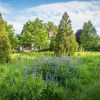 Main Line Home Meadow « Landezine International Landscape Award LILA