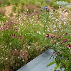 Woodside « Landezine International Landscape Award LILA
