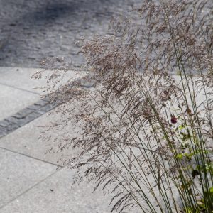 St. Audoen’s Park « Landezine International Landscape Award LILA