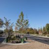 Ballerup Boulevard « Landezine International Landscape Award LILA