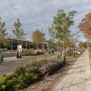 Ballerup Boulevard « Landezine International Landscape Award LILA