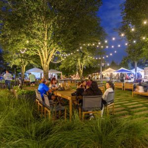 CityPlace at Springwoods Village « Landezine International Landscape ...