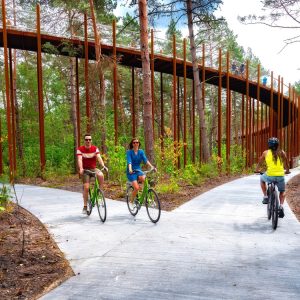 Cycling through the Trees « Landezine International Landscape Award LILA