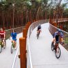 Cycling through the Trees « Landezine International Landscape Award LILA