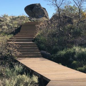 Barrocal Park « Landezine International Landscape Award LILA