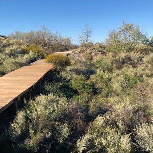 Barrocal Park « Landezine International Landscape Award LILA