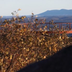 Barrocal Park « Landezine International Landscape Award LILA