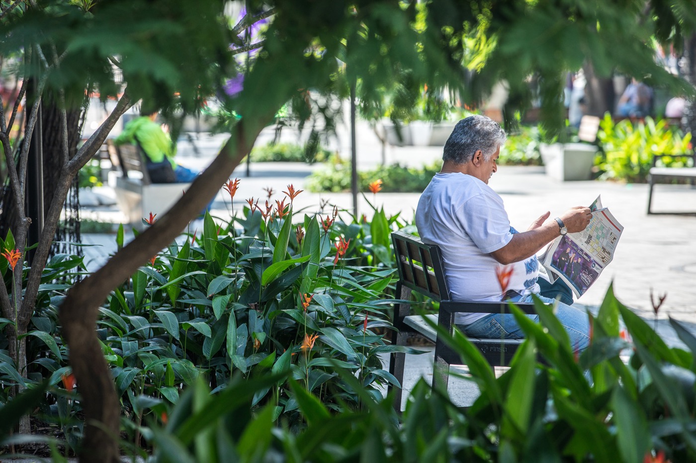 Medellin Downtown’s Tropical and Built Landscape « Landezine ...