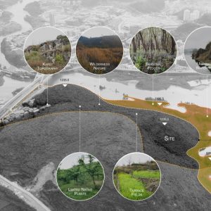 Reshaping Karst Topography with Farming Culture: A New Community Park ...