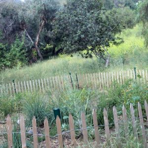 Test Plot « Landezine International Landscape Award LILA