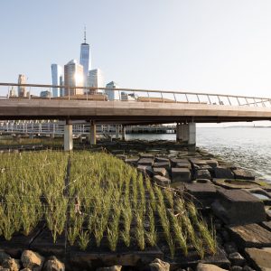 Pier 26 at Hudson River Park « Landezine International Landscape Award LILA