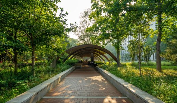 Forest Heart: Campus Landscape Regeneration for Beijing Forestry ...