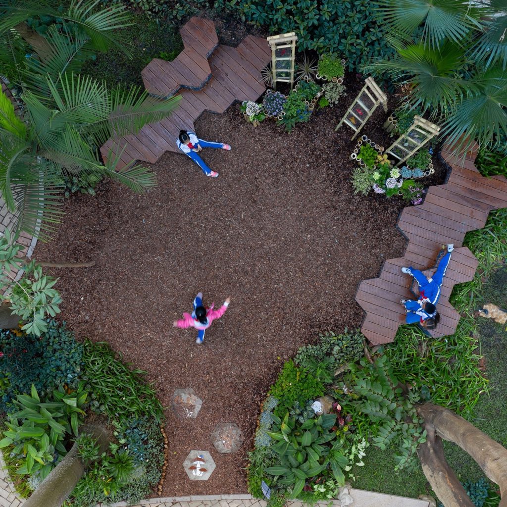 Building Garden Together — Future Garden of Houhai Primary School ...