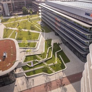 ING KANTOOR CEDAR « Landezine International Landscape Award LILA