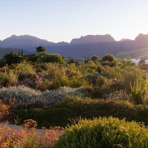 Bosjes Wine Estate « Landezine International Landscape Award LILA