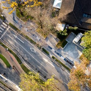 A Growing Street Museum: The Urban Micro-renewal of The University Road ...