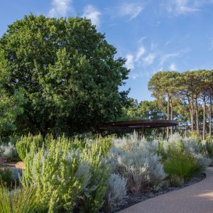 Curtin University Indigenous Learning Circle (Yarning Circle ...