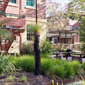 University of Queensland Reconciliation Garden « Landezine ...