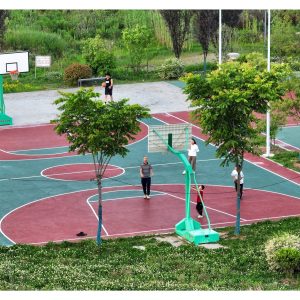 From Wasteland to Vibrant Rural Wetlands: Xining Micro-Wetlands Park ...