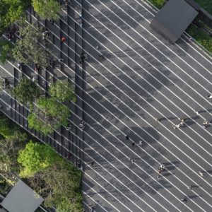 Sky Forest Scape « Landezine International Landscape Award LILA