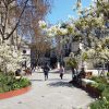 Strand Aldwych, London « Landezine International Landscape Award LILA