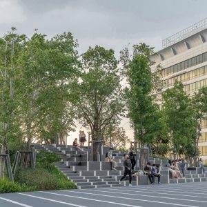 Sky Forest Scape « Landezine International Landscape Award LILA