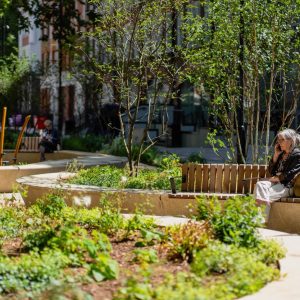 Alfred Place Gardens « Landezine International Landscape Award LILA