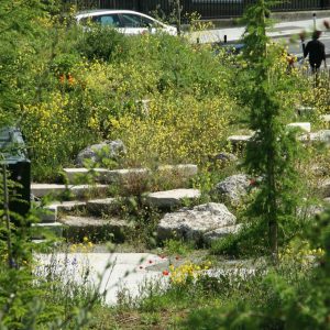 Bridgefoot Street Park « Landezine International Landscape Award LILA