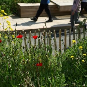 Bridgefoot Street Park « Landezine International Landscape Award LILA