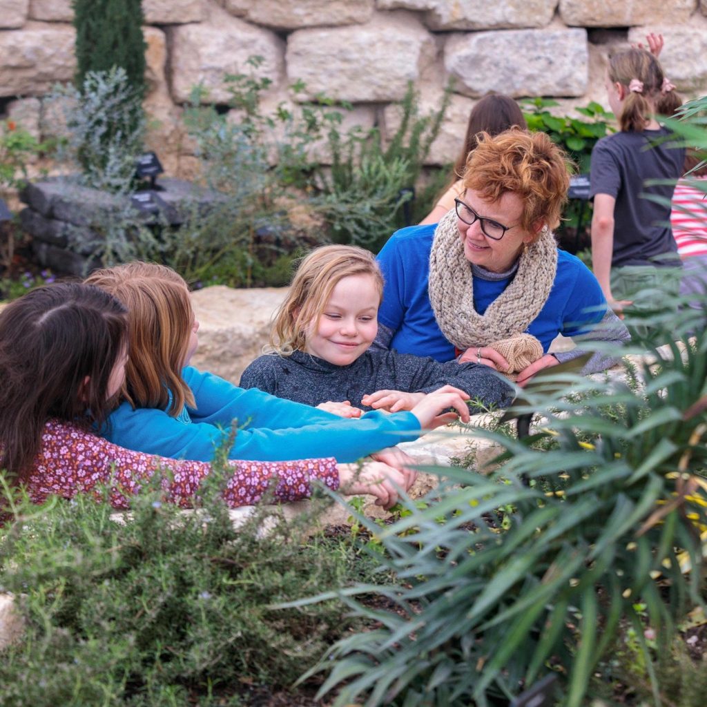 The Leaf at Assiniboine Park « Landezine International Landscape Award LILA