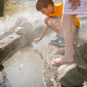 Waiaroha – Heretaunga Water Discovery Centre « Landezine International ...