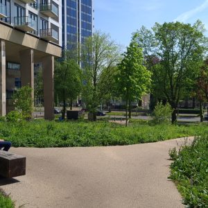 High Park « Landezine International Landscape Award LILA