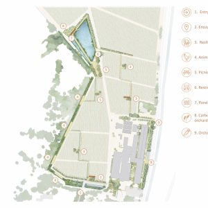 Cousiño Macul Winery Garden « Landezine International Landscape Award LILA