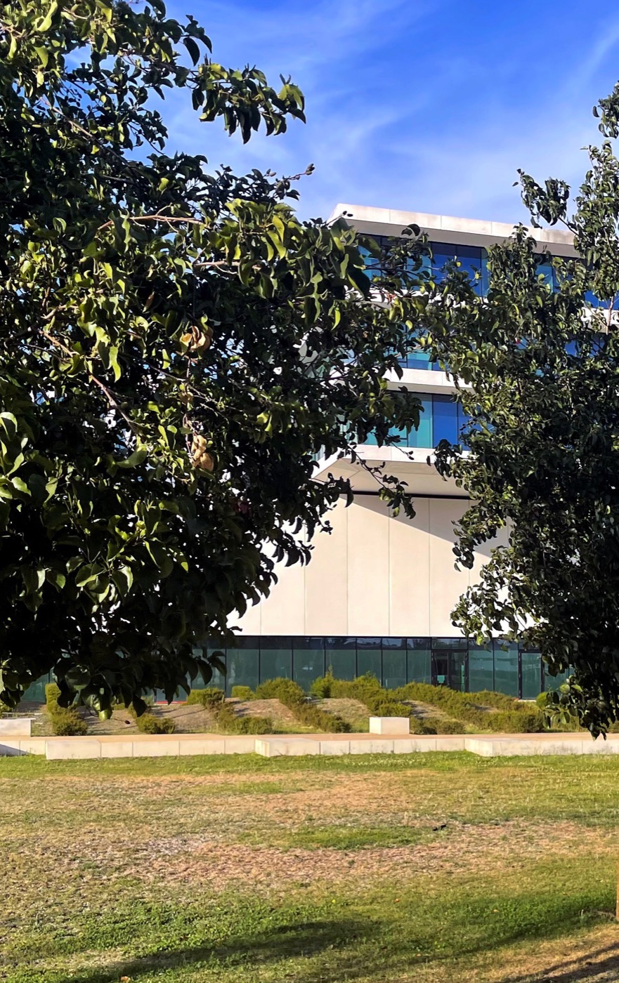 Gardens and Patios for the CUF Tejo Hospital by PROAP – Estudos e ...